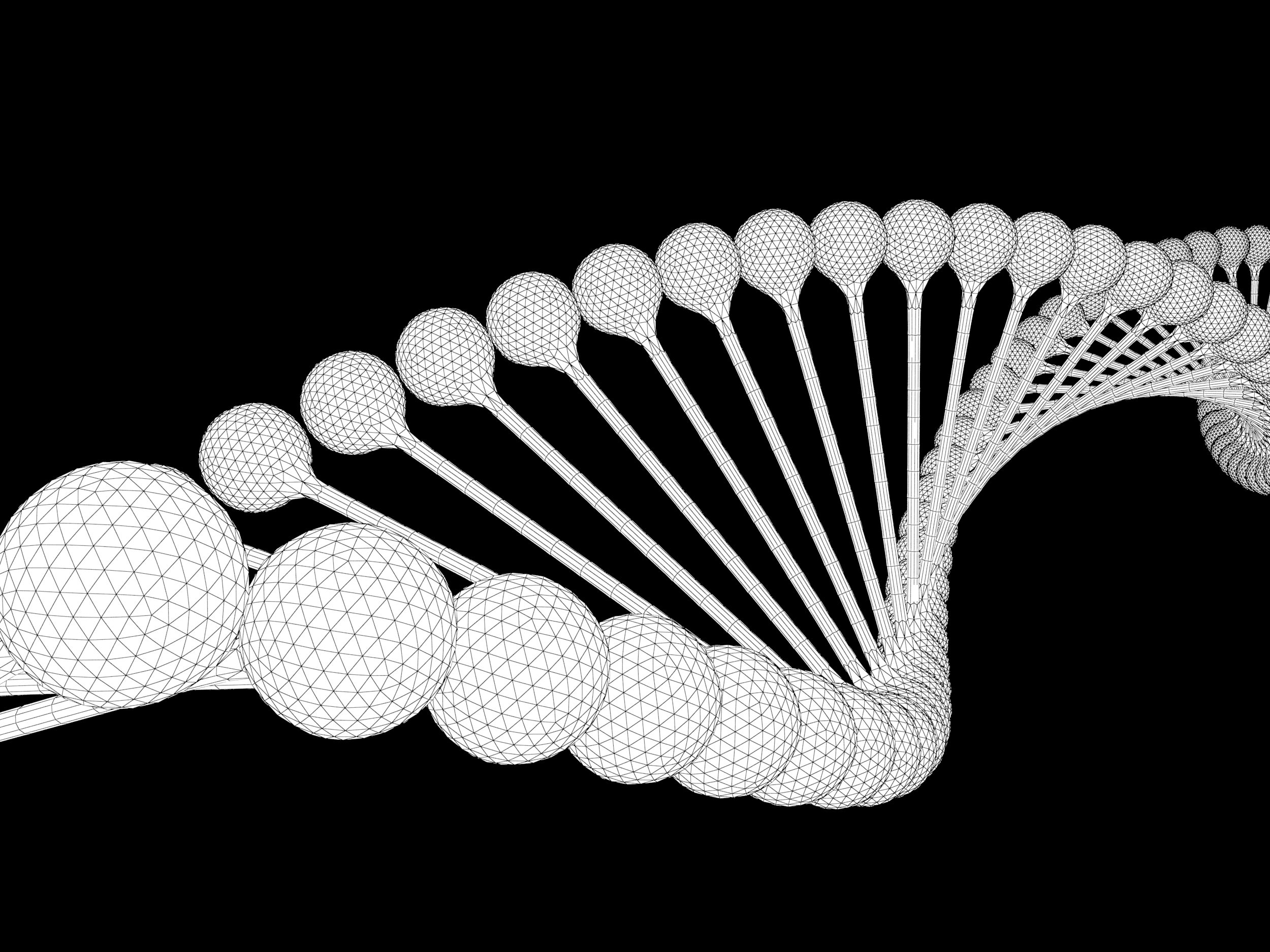 free dna 3d model