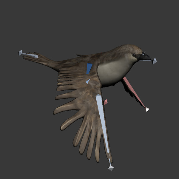 max sparrow flying animation