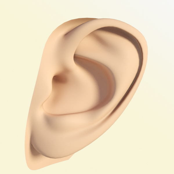 Free 3D Ears Models | TurboSquid