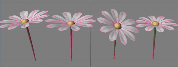 free flower 3d model