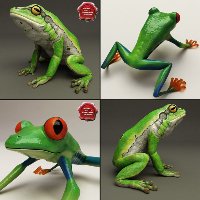 3d frogs hyla arborea model