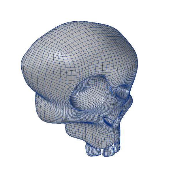 cartoon skull 3d obj