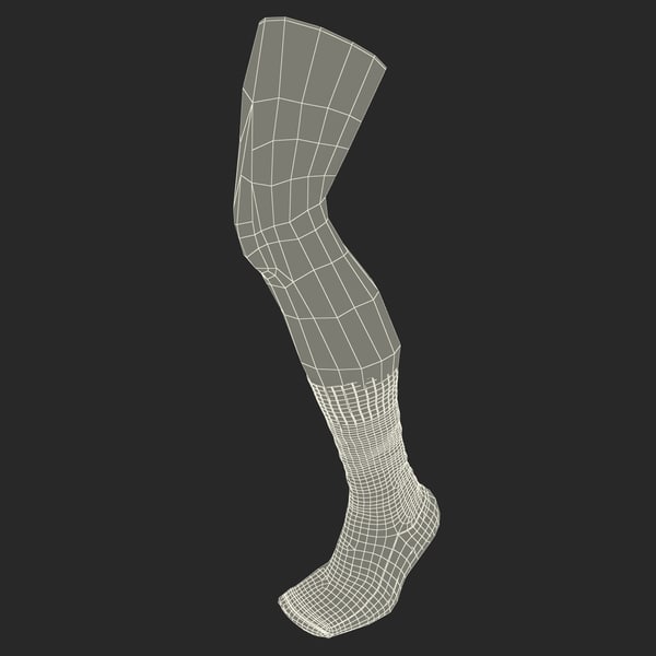 socks v3 3d model