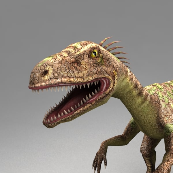 rigged raptor animation 3d model
