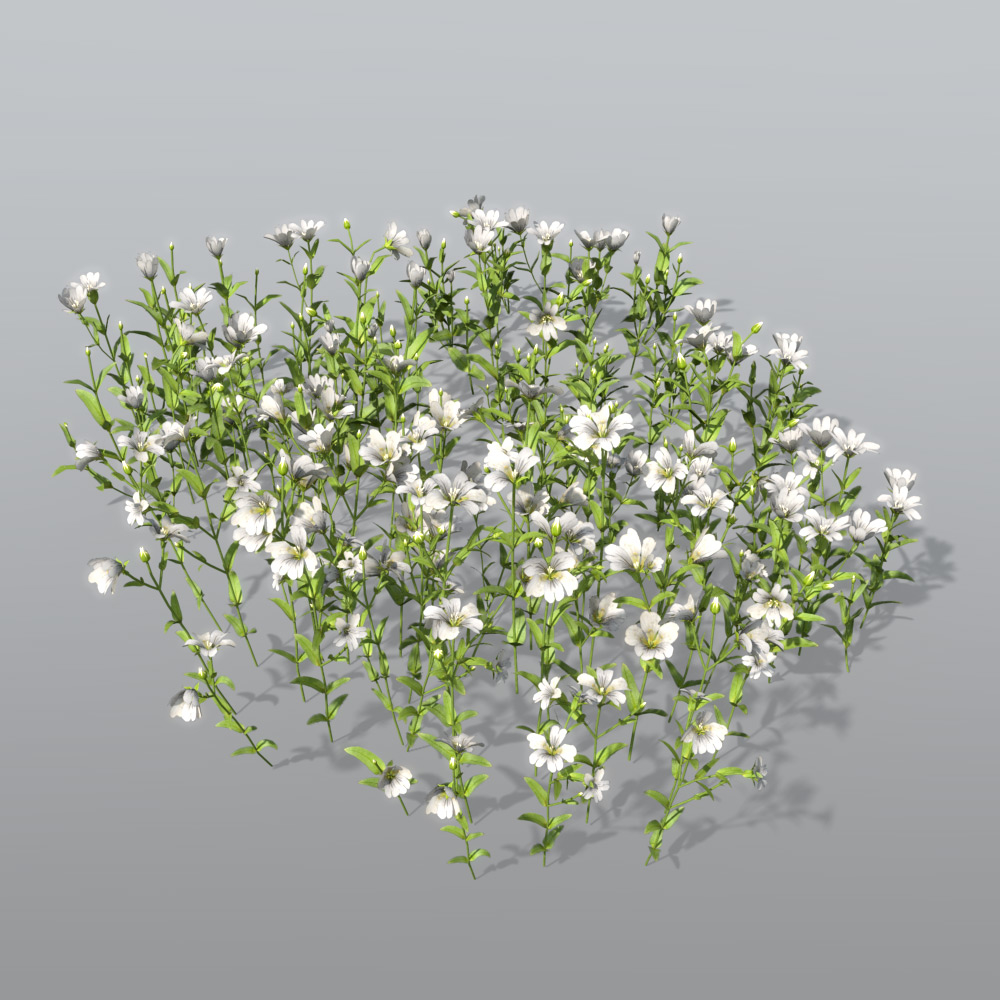 3d model wildflowers vol 1