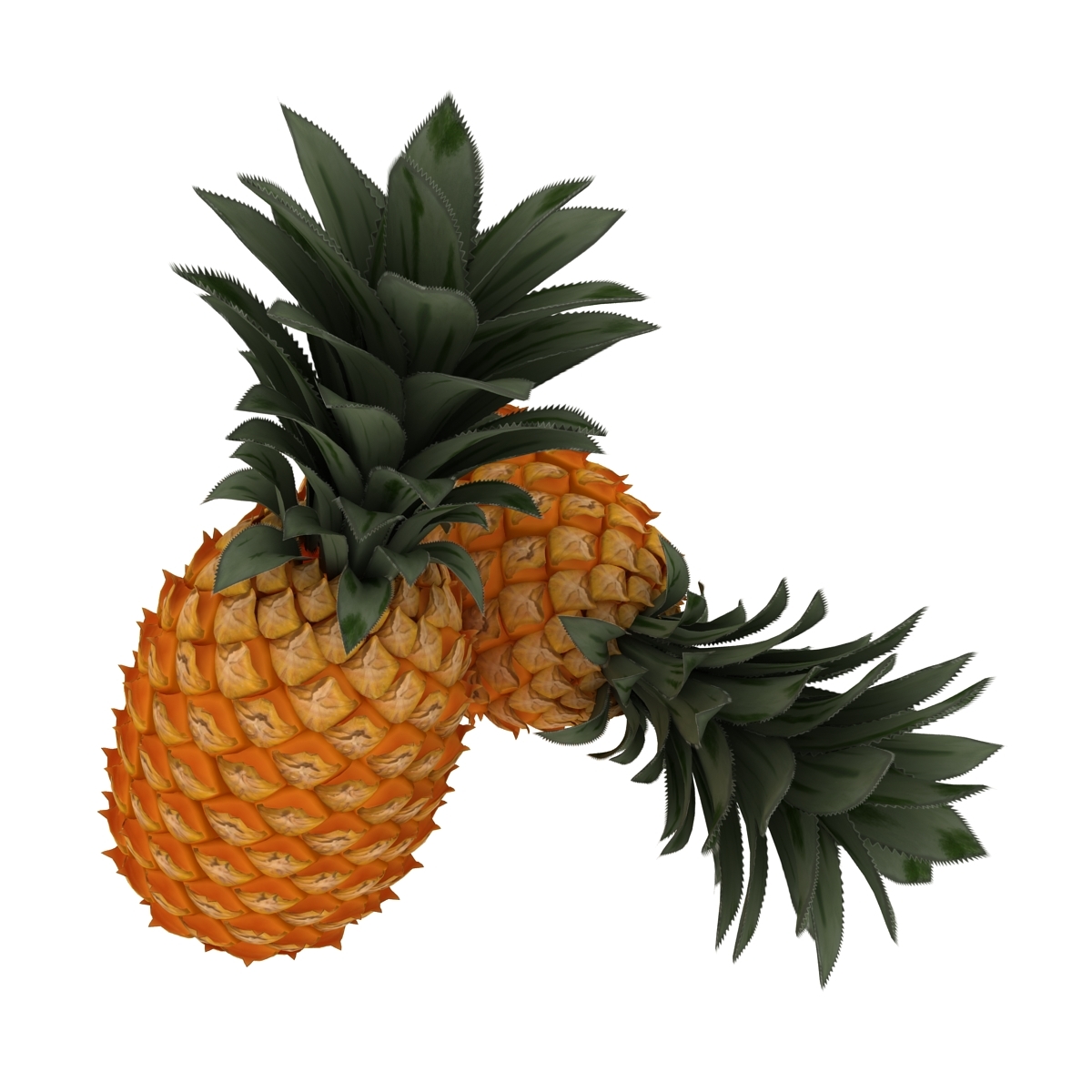 3d pineapple ananas tropical model