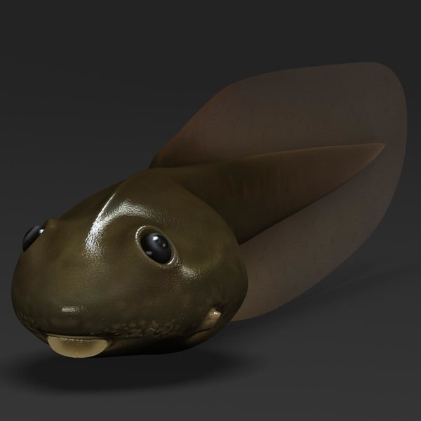 3ds max frog tadpole