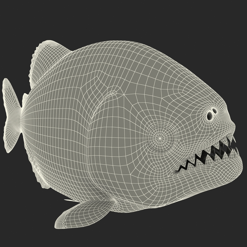 3d fishs v4 model