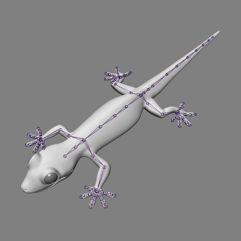 3d house lizard model