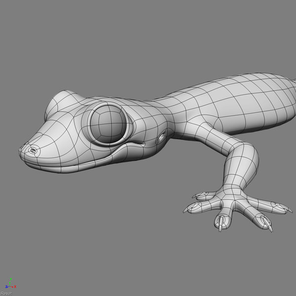 3d house lizard model