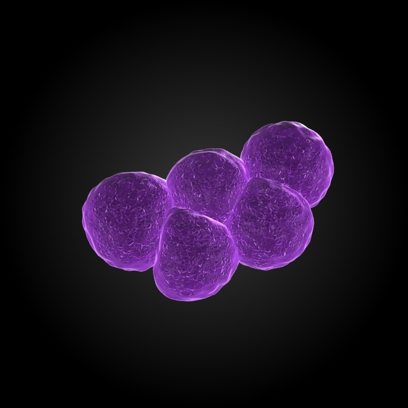 3dsmax microbes micro organisms