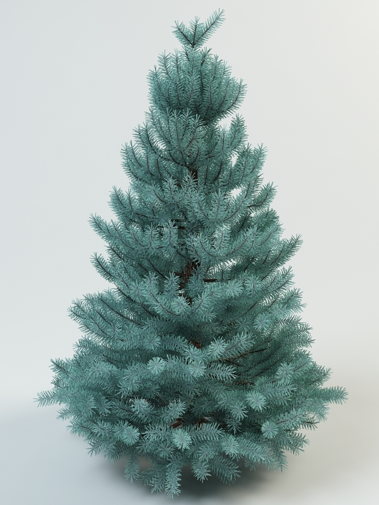 3d picea