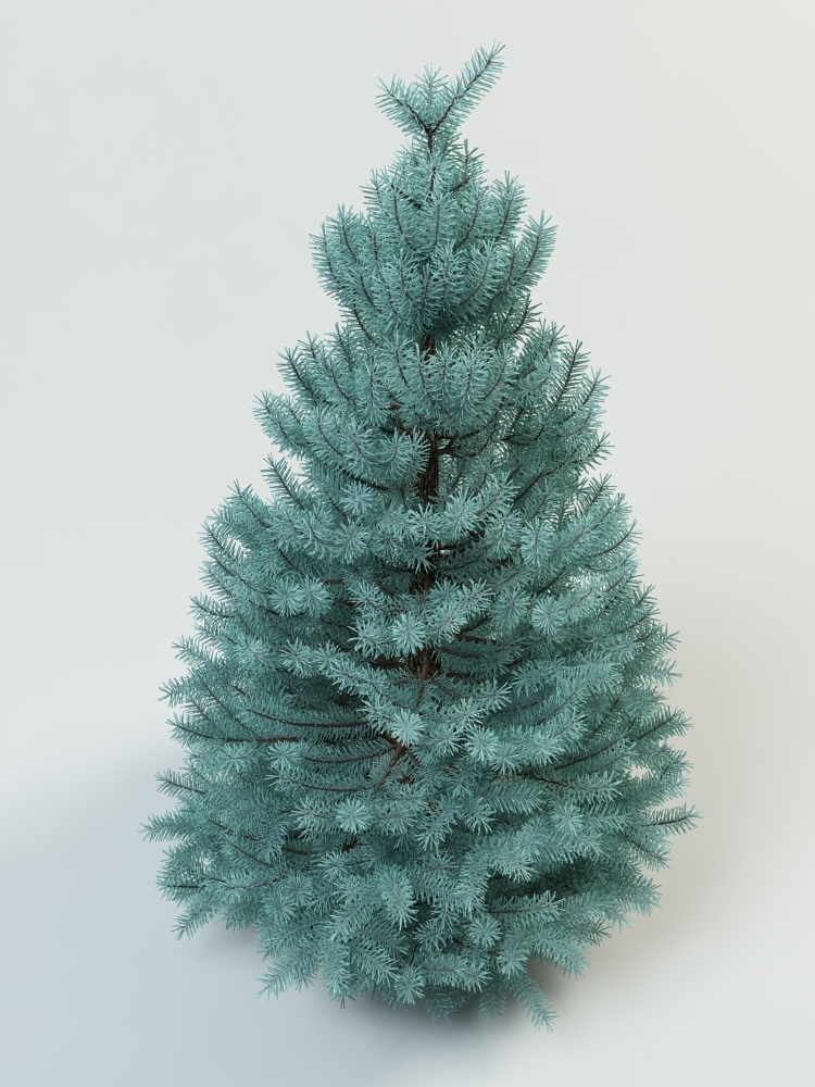 3d picea