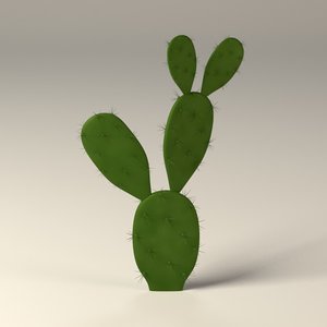 Cactus Blender Models for Download | TurboSquid