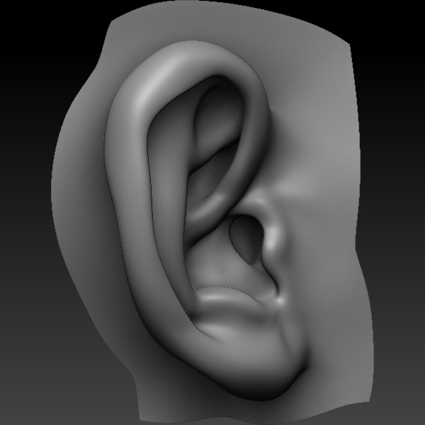 perfect ear 3d model