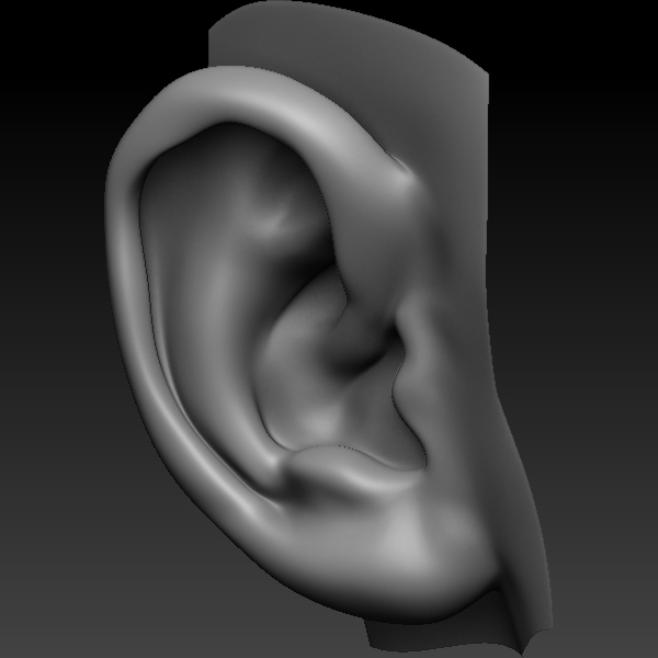 perfect ear 3d model
