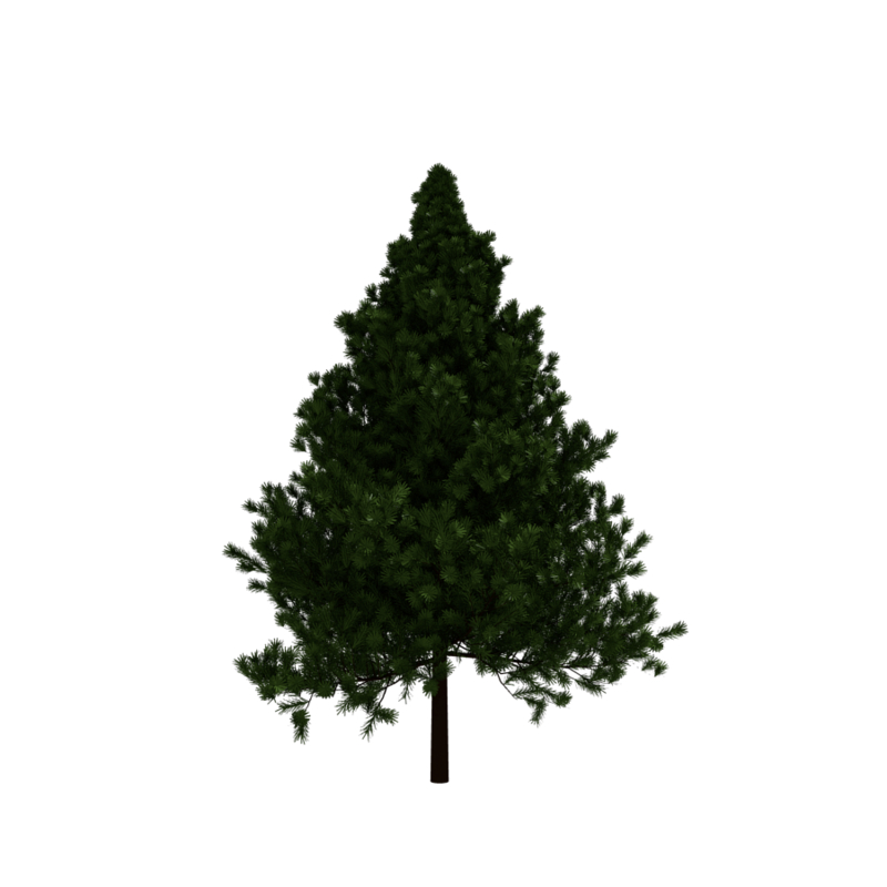 evergreen tree 3d obj