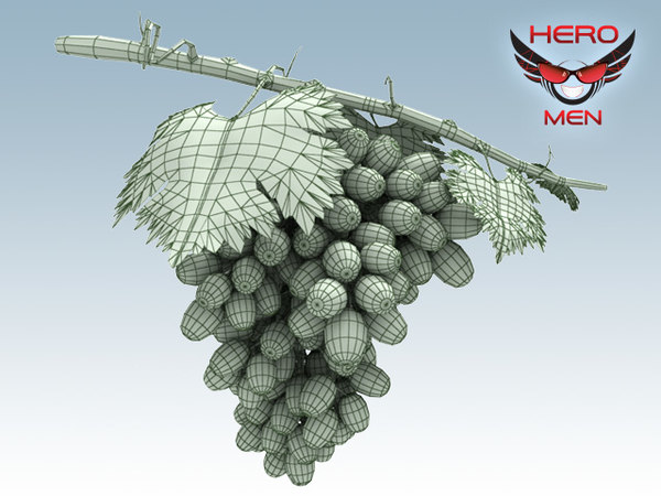 3d model grape vine