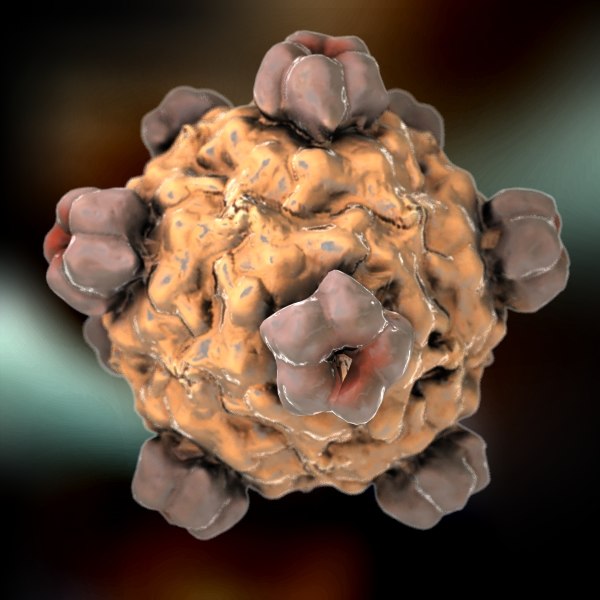 3d model virus bacteria pathogen