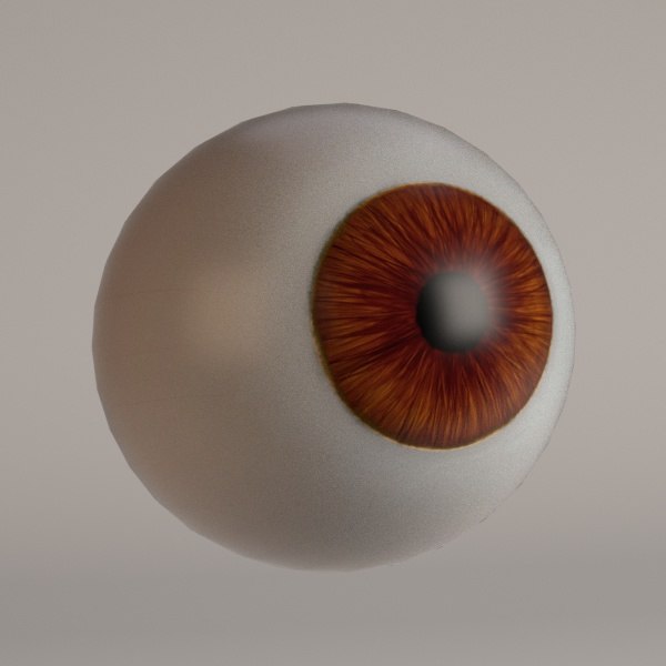 human eye 3d model