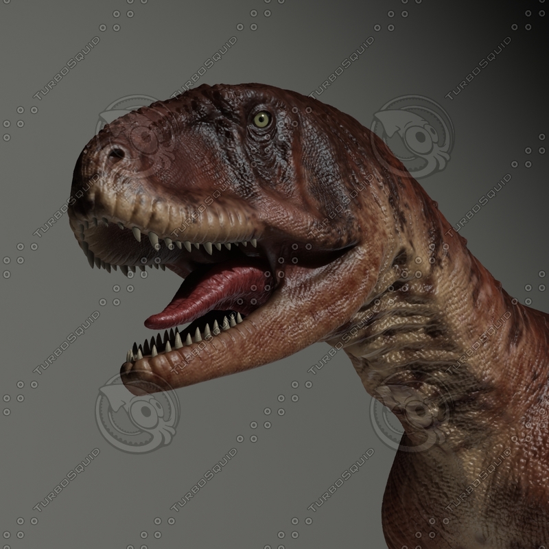 maya dinosaur aucasaurus