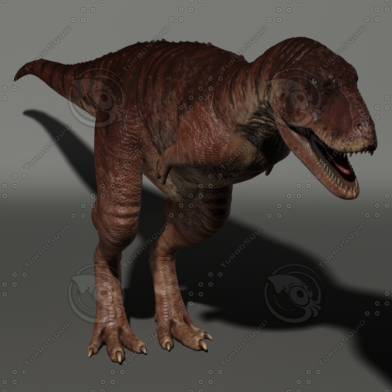 maya dinosaur aucasaurus