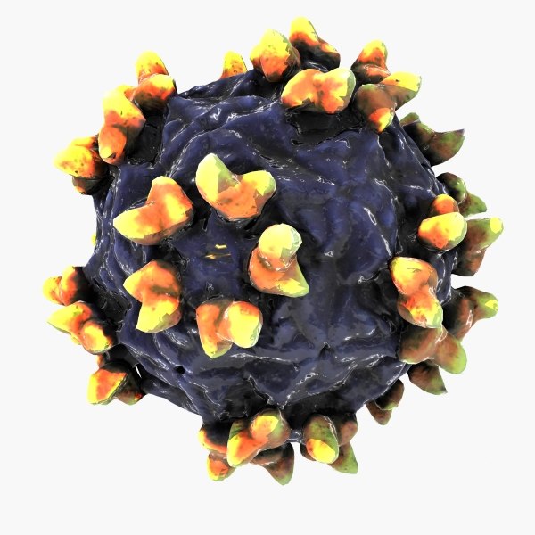 3d human rhinovirus