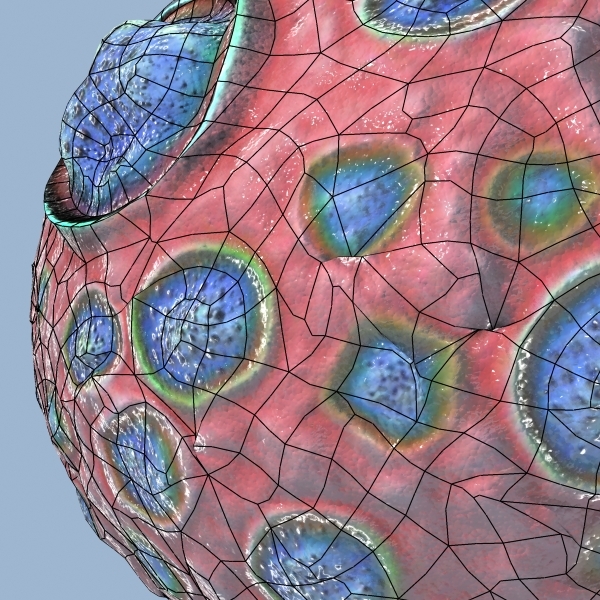 infectious anemia virus 3d model