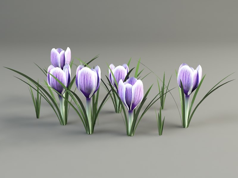 3ds max flower