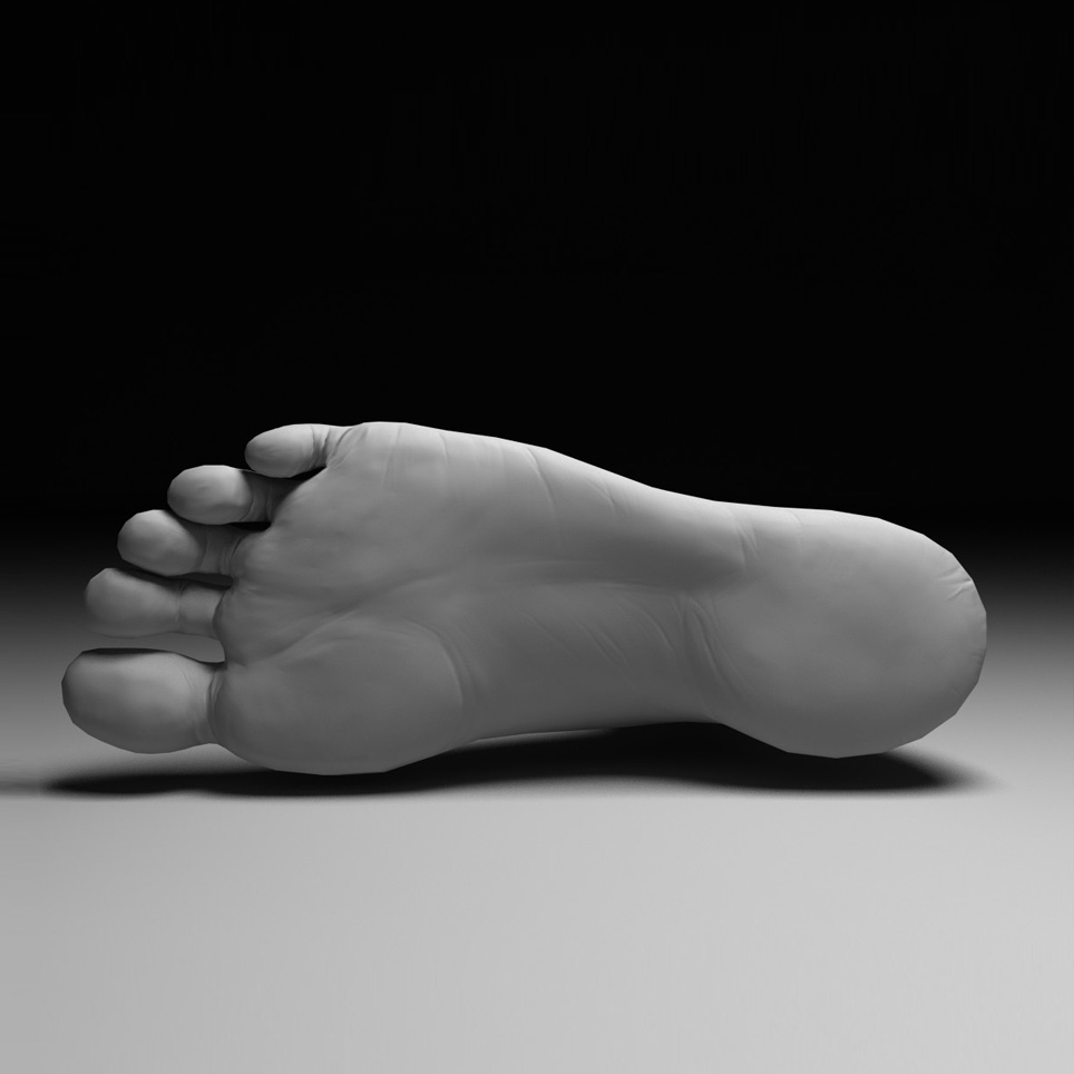human foot 3d obj