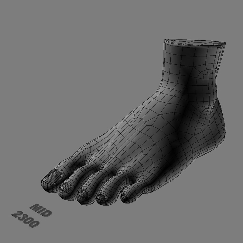 human foot 3d obj