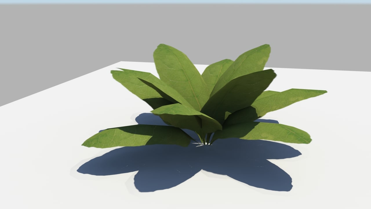 plant leaf obj