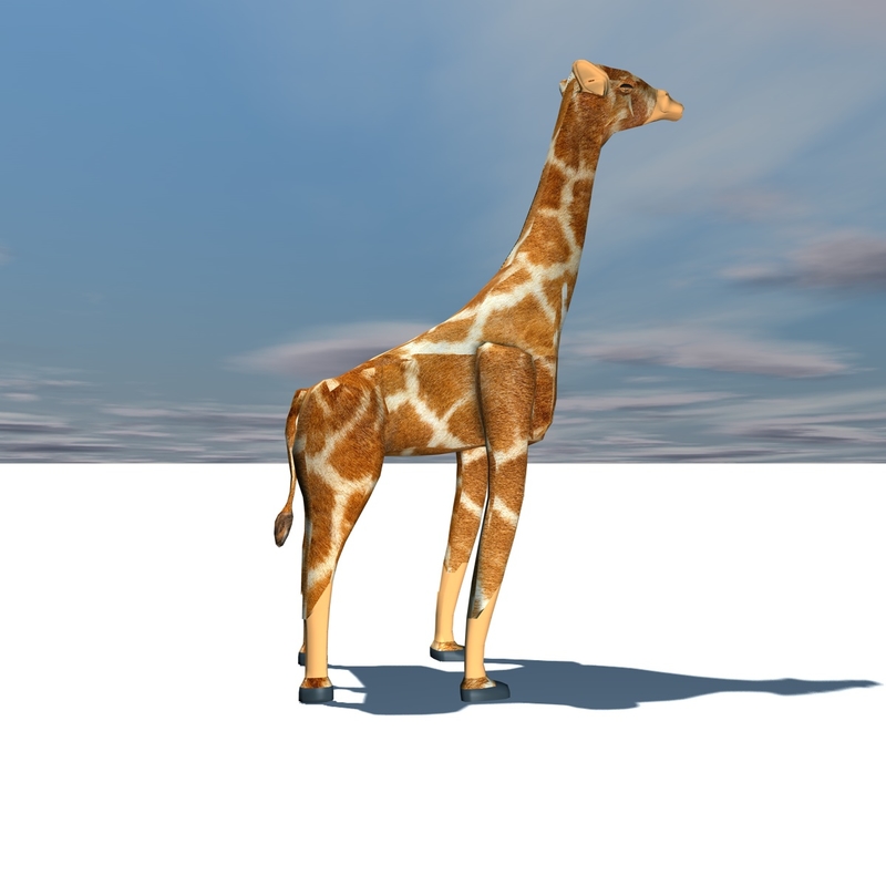 giraffe 3d model