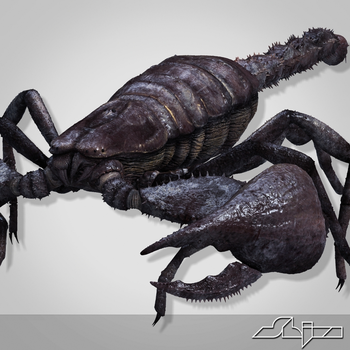 3d scorpion pandinus imperator
