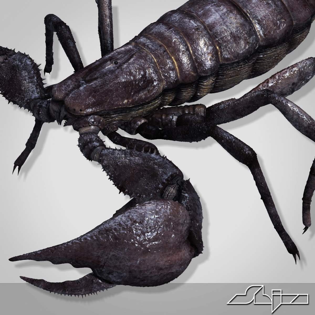 3d scorpion pandinus imperator