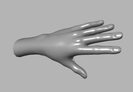 maya polygonal human hand