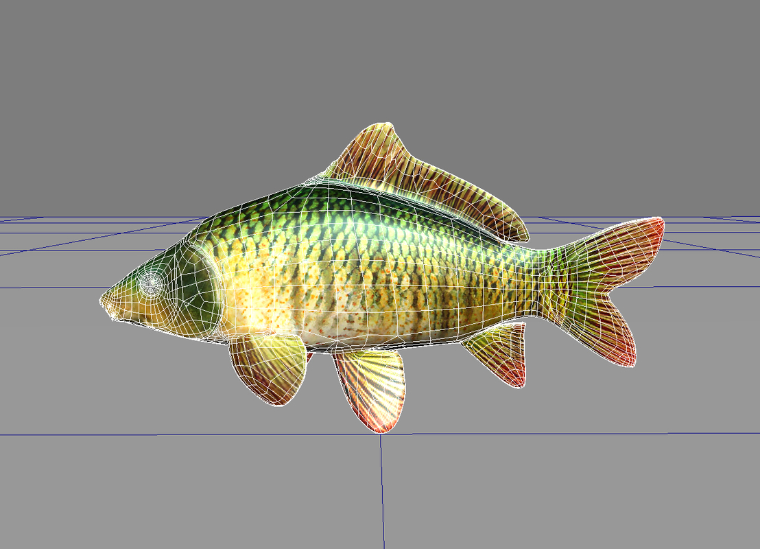 3d model carp