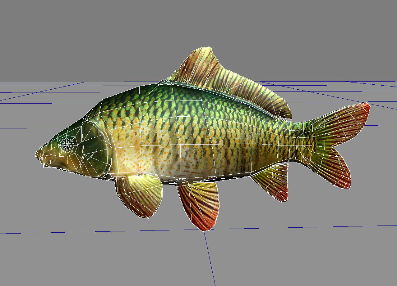 3d model carp