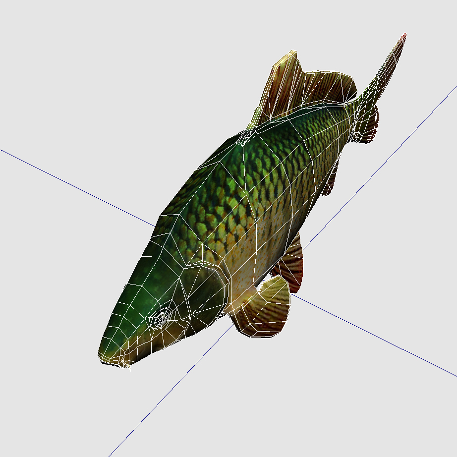 3d model carp