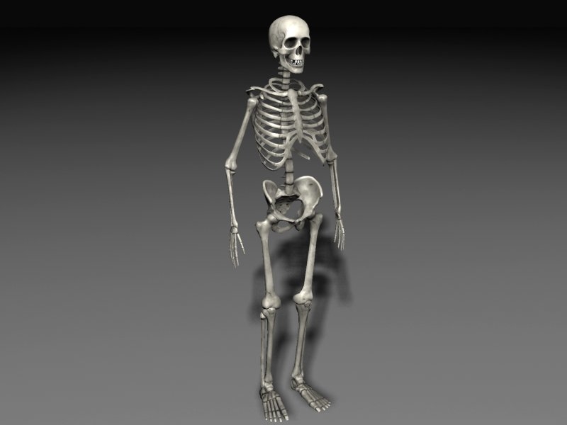 Skeleton Blender Models for Download | TurboSquid