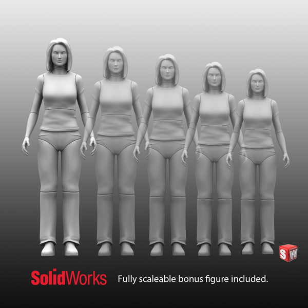 3dm poseable male female solidworks