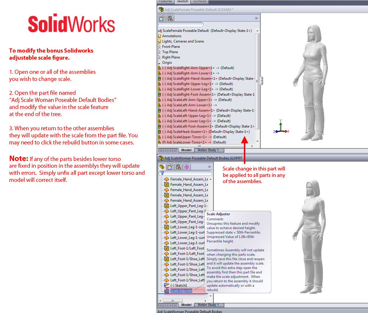 3dm poseable male female solidworks