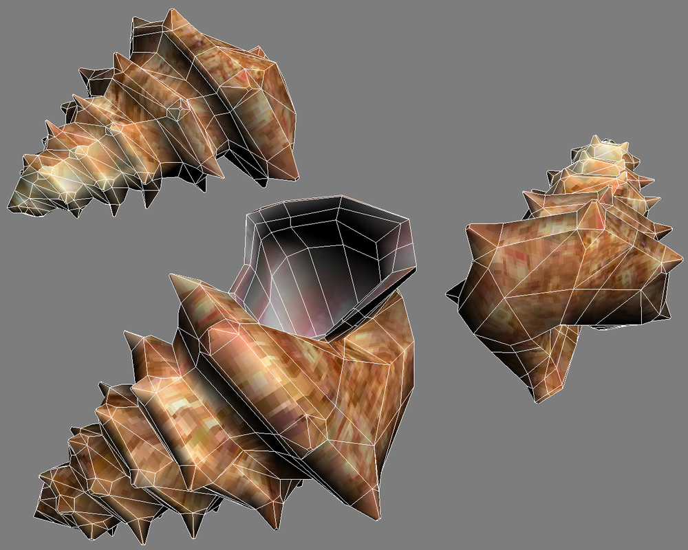3d sea shell model