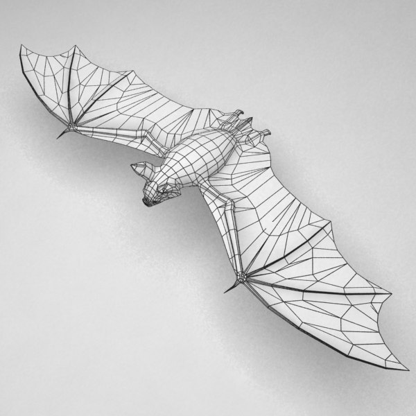 3d model of rigged vampire bat fly animation