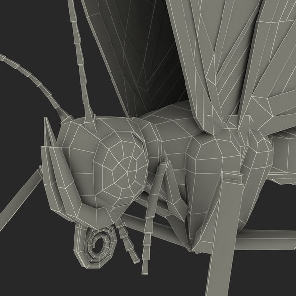 3d model blue morpho butterfly pose6