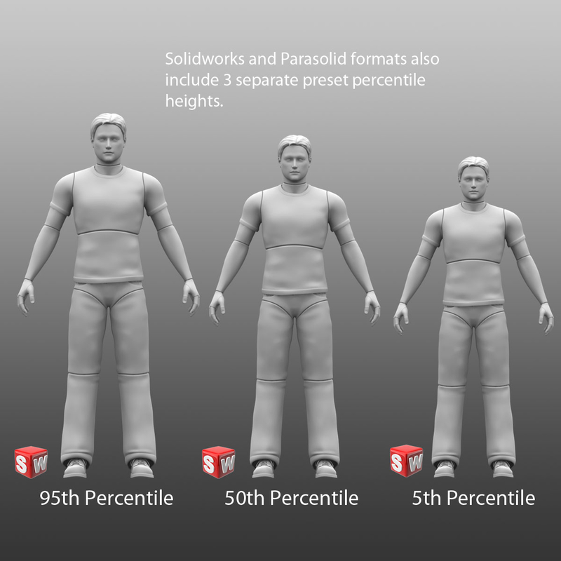 maya poseable male female solidworks