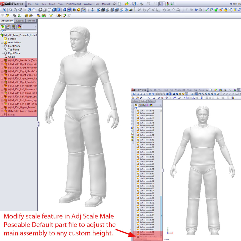 maya poseable male female solidworks