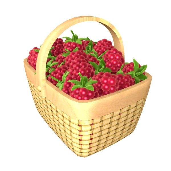 3d raspberries basket model