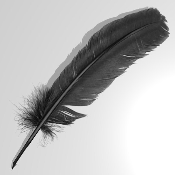 modèle 3D de Plumes - TurboSquid 667422