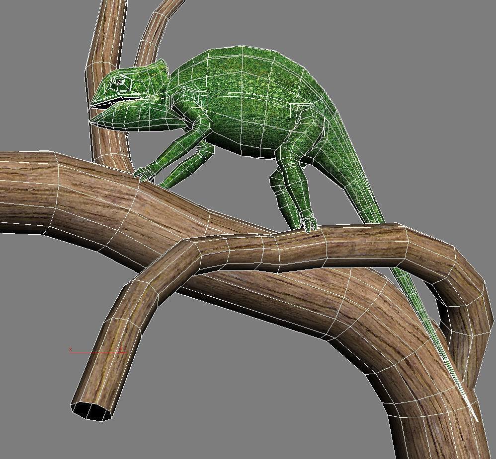 3d model chameleon chameleo hameleo
